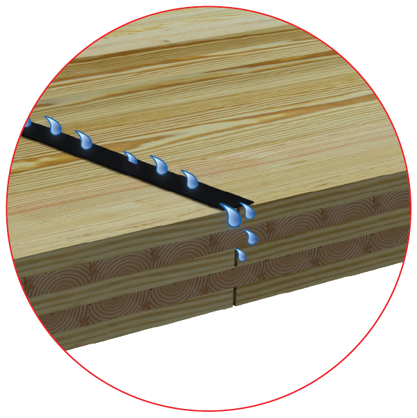 Mass Timber Moisture Management